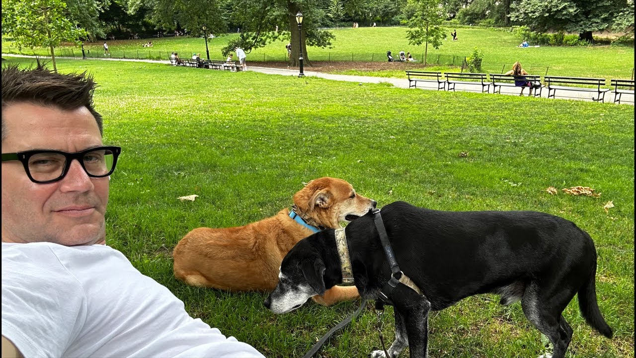 George Hahn Live - YouTube