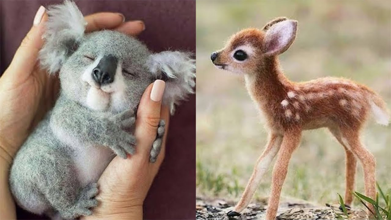 Animals SOO Cute! Cute baby animals Videos Compilation cutest moment ...