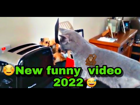 😇New funny animals videos 🐵 2022 'new animals  videos 😝