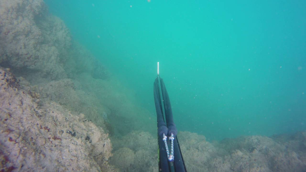 OAHU, HAWAII - Spearfishing Ledge - Feb 2016 - YouTube