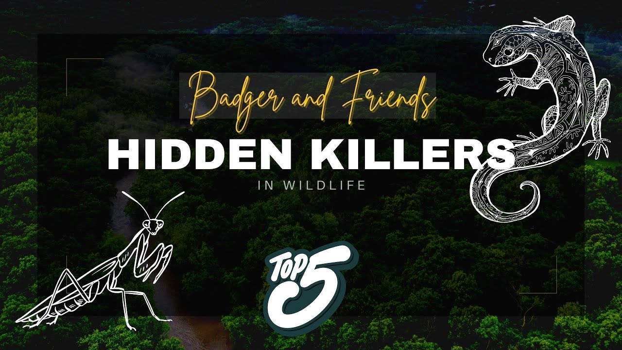 Hidden Killers Top 5 Animals with Deadly secret ideas - YouTube