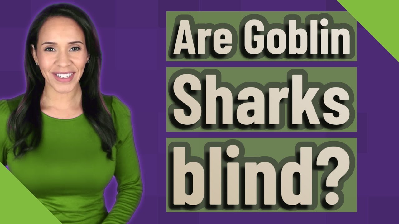 Are Goblin Sharks blind? - YouTube