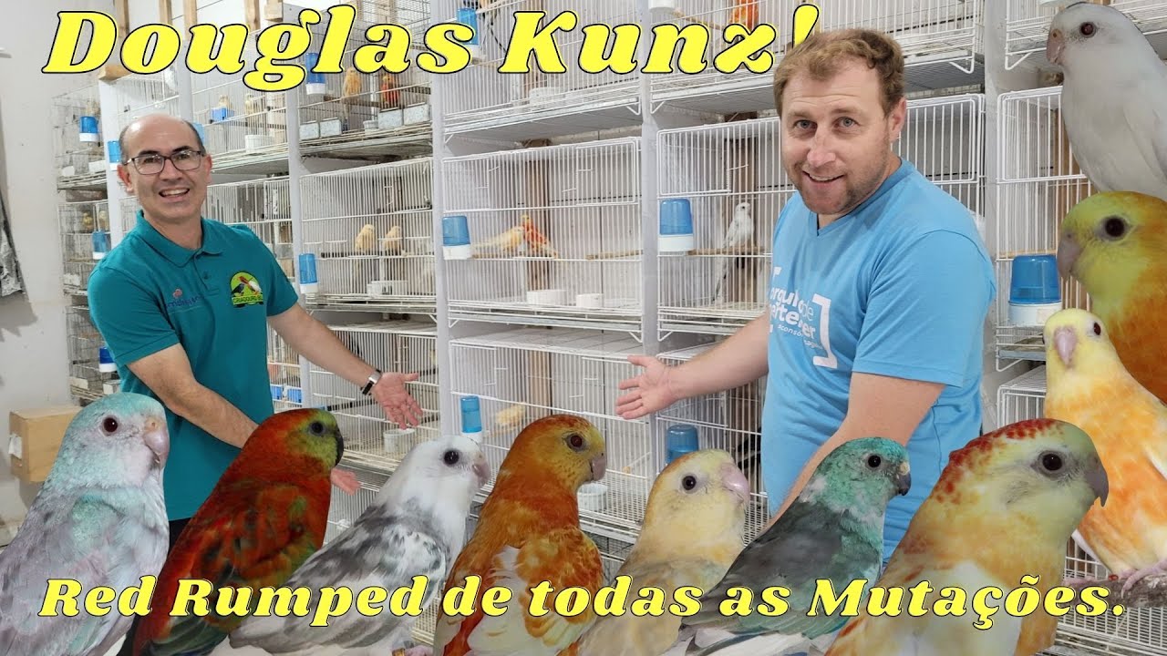 RED RUMPED FULVO E MAIS UMA VARIEDADE IMPRESSIONANTE NO DOUGLAS KUNZ ...