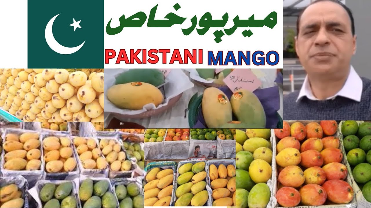 FAMOUS PAKISTANI MANGOES | MANGO CITY MIRPUR KHAS PAKISTAN | PRODUCTION ...