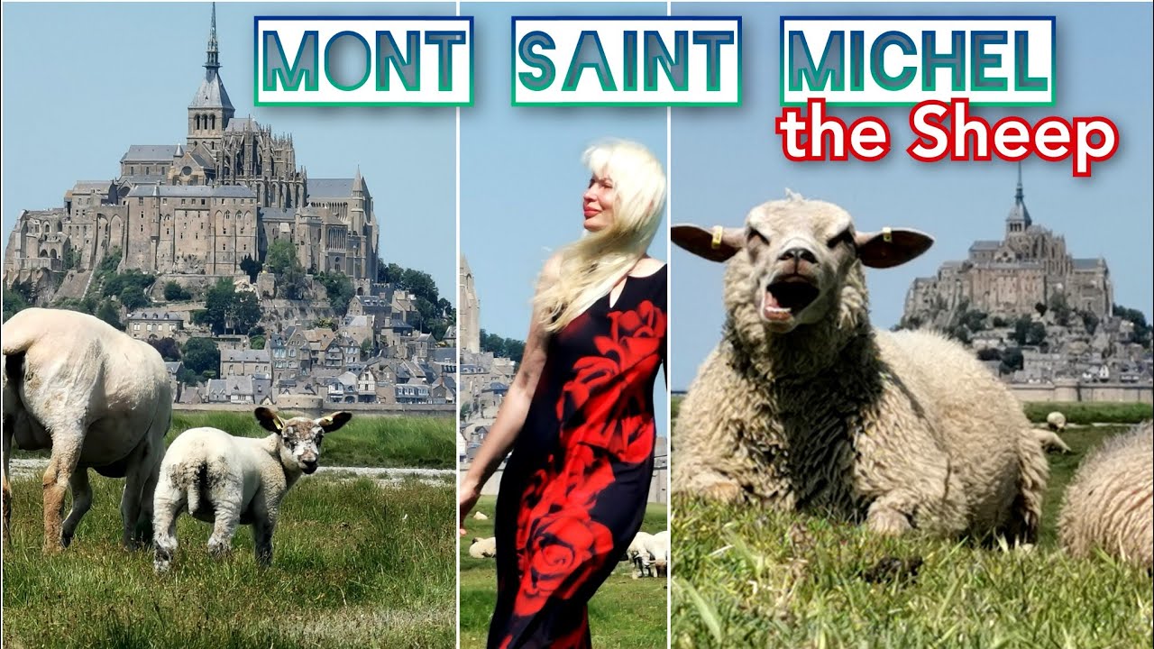 MONT SAINT MICHEL & the iconic SHEEP by ADEYTO 🐑 - YouTube