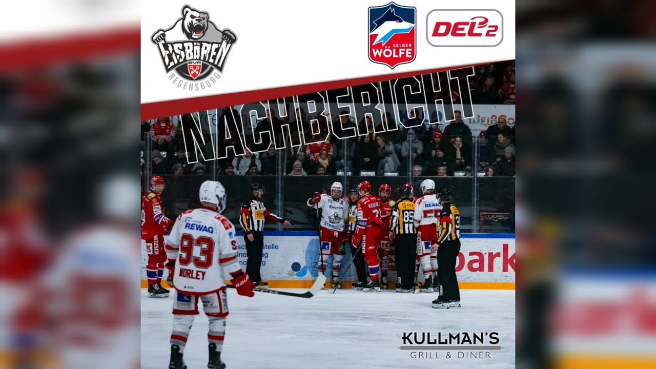 GEBRAUCHTER ABEND IN SELB: EISBÄREN VERLIEREN 3:8 BEI DEN WÖLFEN ...