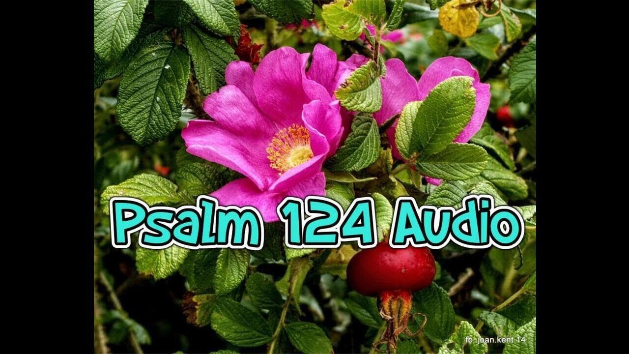 Psalm 124 KJV Audio You Need The Lord On Your Side YouTube psalm-124-kjv-audio-you-need-the-lord-on-your-side-youtube