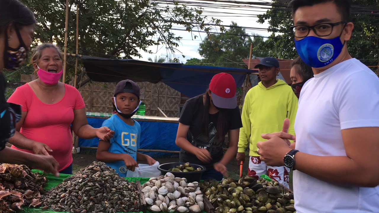 Seashells for sale | she sells seashells | saang shells | Urbano Mante ...
