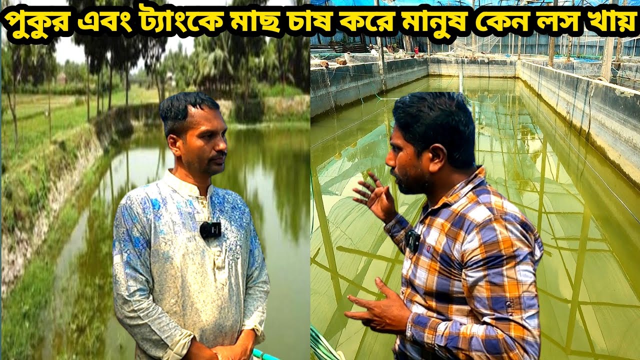 পুকুর এবং ট্যাংকে মাছ চাষ করে মানুষ লস খায় কেনো | Simple Method of fish farming | BD Masks Tv ...