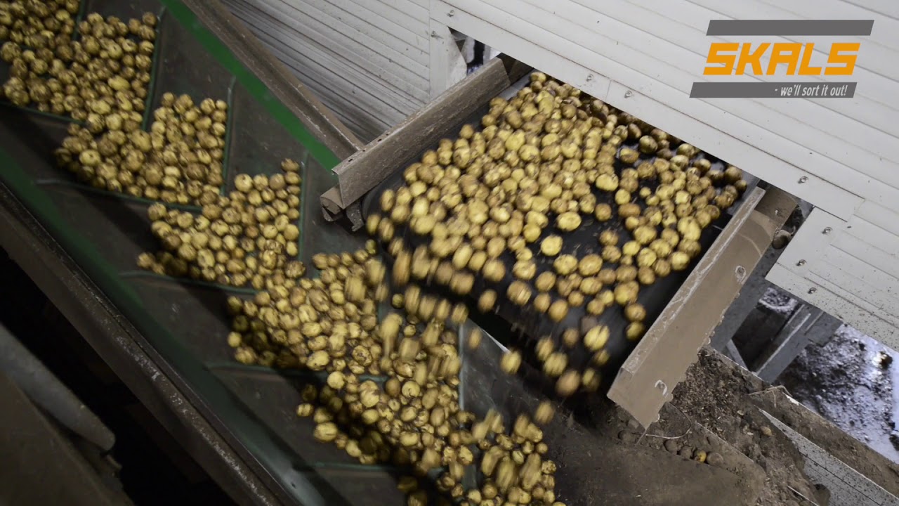 Skals grading system at Flensted, Denmark - YouTube