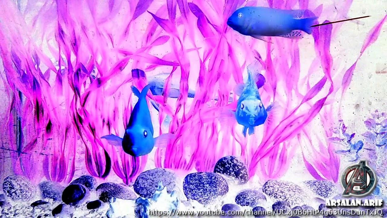 My Fish Tanks in solarize effect - YouTube