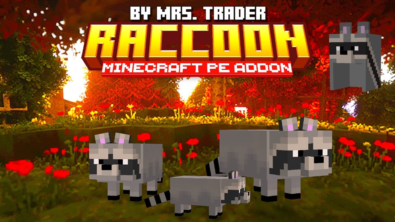 🦝RACCOON'S ADDON for BEDROCK | MINECRAFT PE +1.21 #addons - YouTube