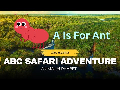 ABC Safari Adventure: Explore the Alphabet with Wild Animals - YouTube