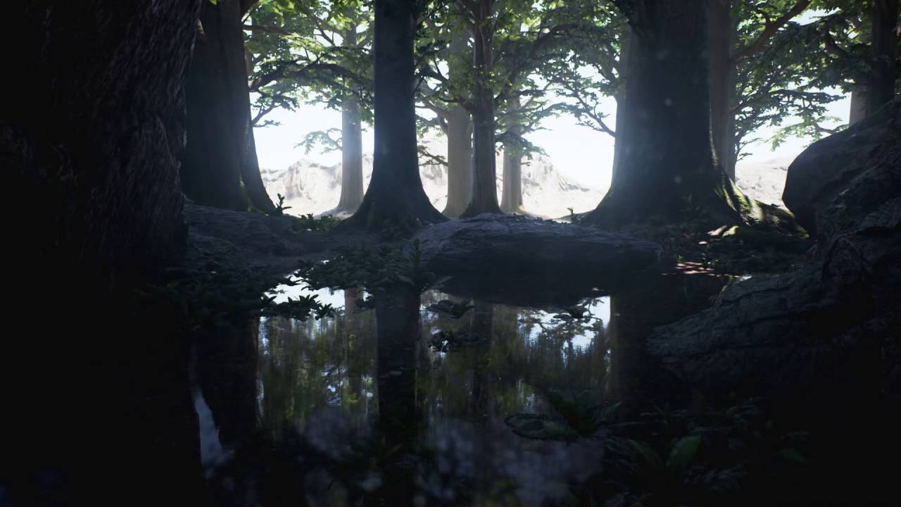 Wet Ground Material ForestCollection - YouTube