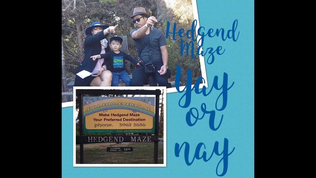 Hedgend Maze - YouTube