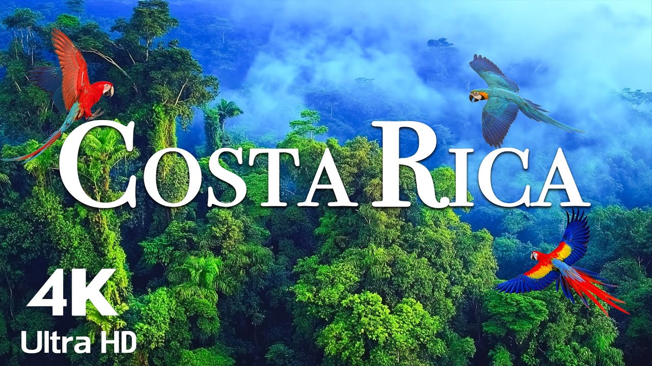 Costa Rica • Forest 4K Relaxation Film • Peaceful Relaxing Music ...