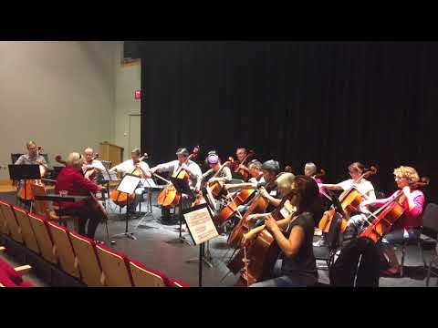 Amateur Music Network Cello Workshop with Irene Sharp