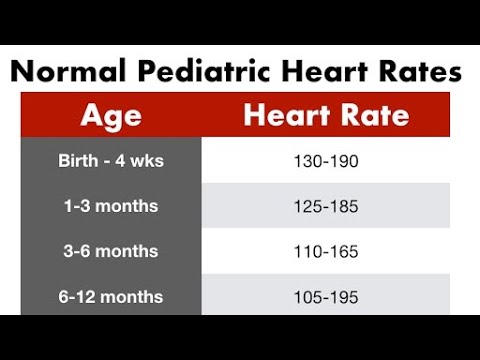 Normal Pediatrics Heart Rate Chart By Age - YouTube