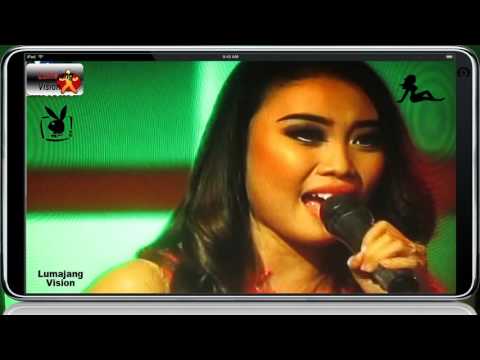 GOYANGAN JANDA SEMOK