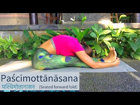 Paścimottānāsana (seated forward fold) - How to practice seated forward ...