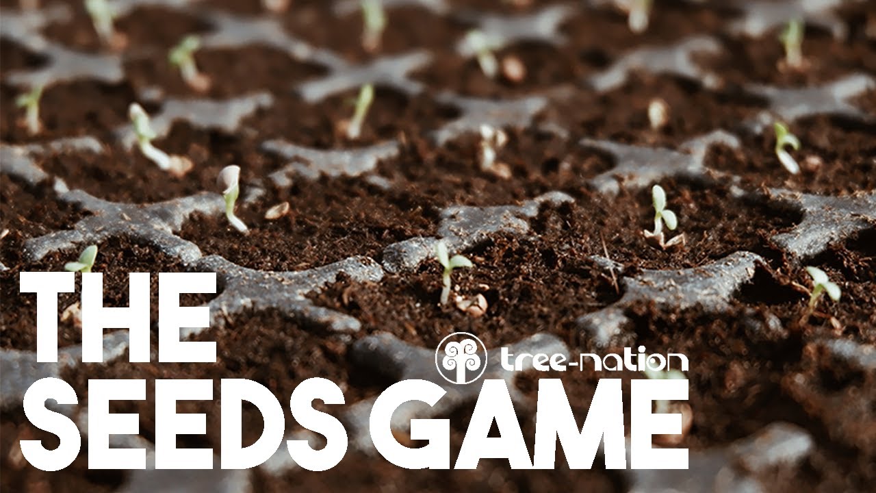 Tree-Nation presents the Seeds game ! - YouTube