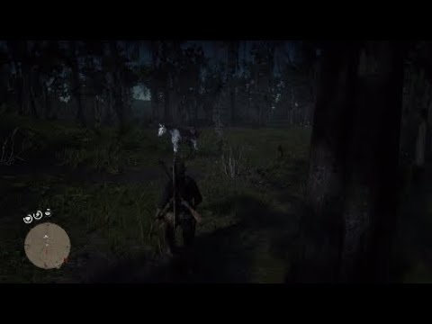 Feed Them Gators Night Folk (RDR2) - YouTube