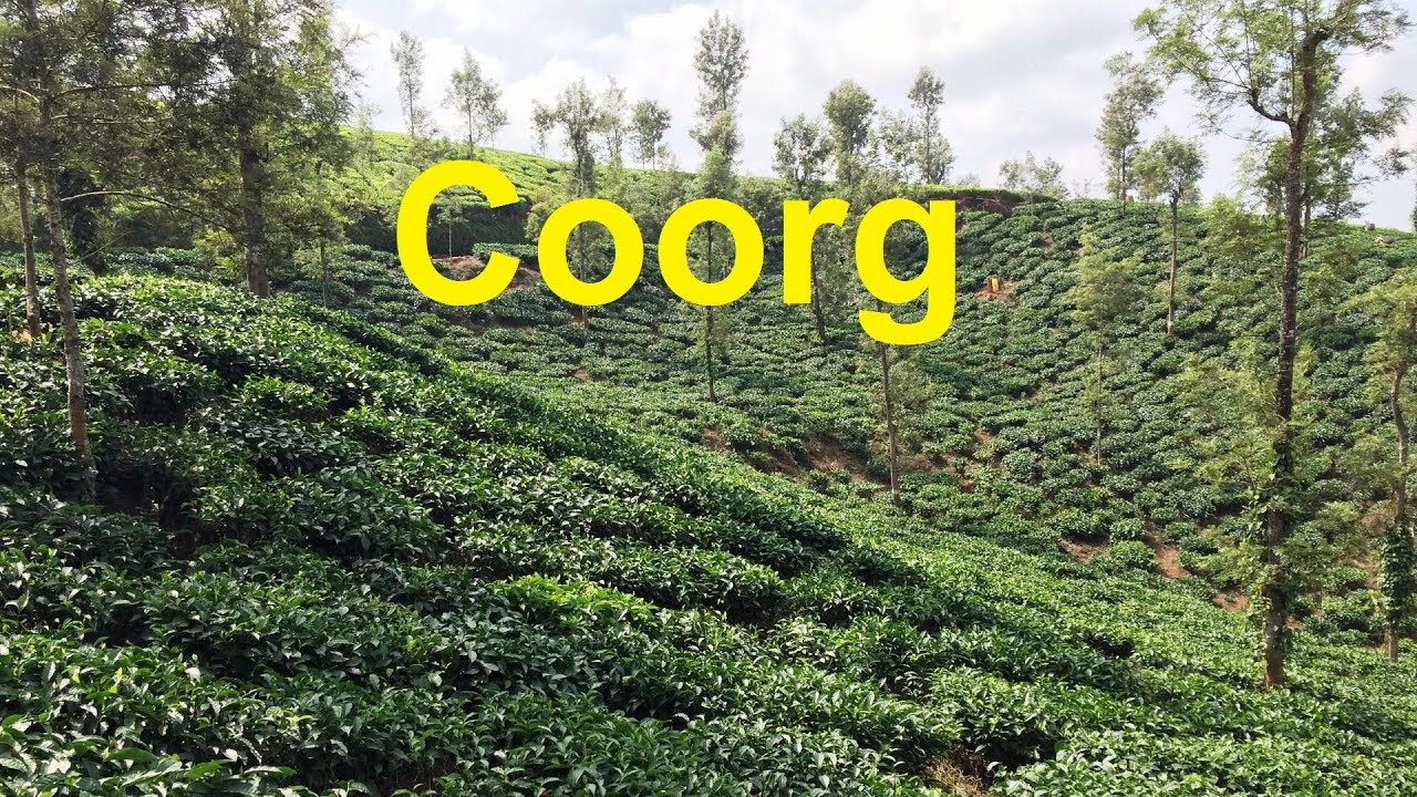 Glenlorna Tea Estate Near Coorg - YouTube