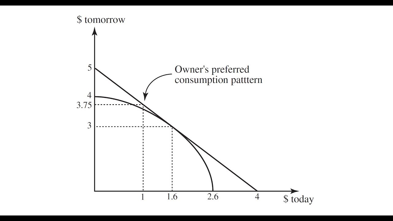 Fisher's theory of optimal intertemporal choice and resource allocation ...