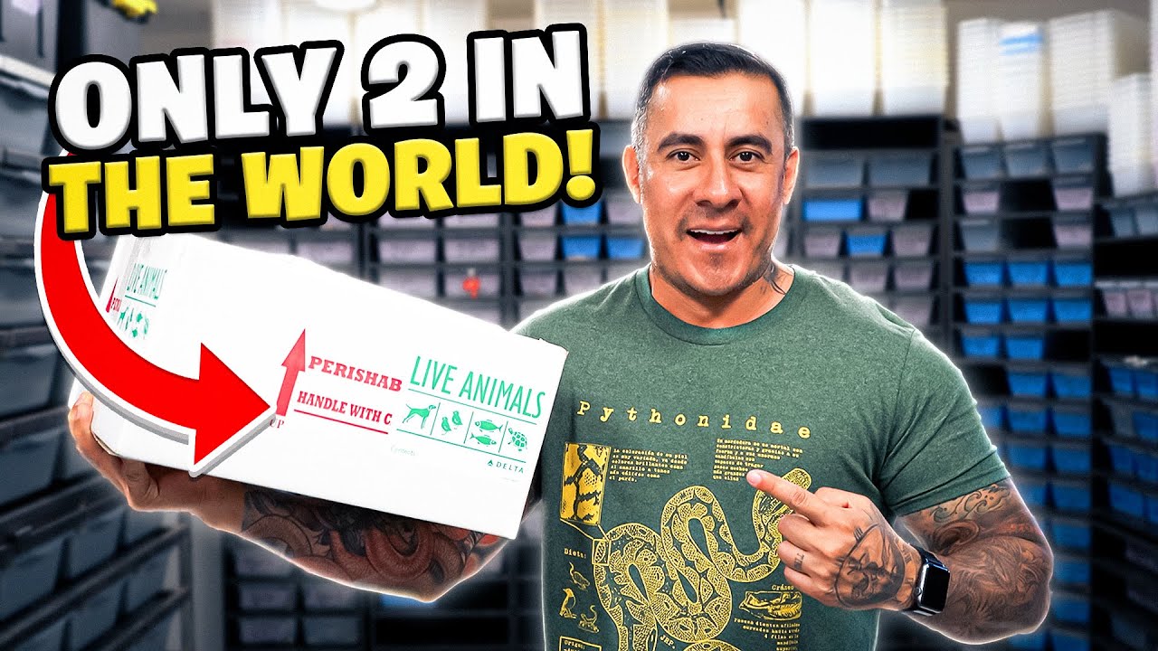 The Only Two In The World! - YouTube