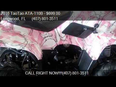 2016 TaoTao ATA-110B for sale in Longwood, FL 32750 at BLUE - YouTube