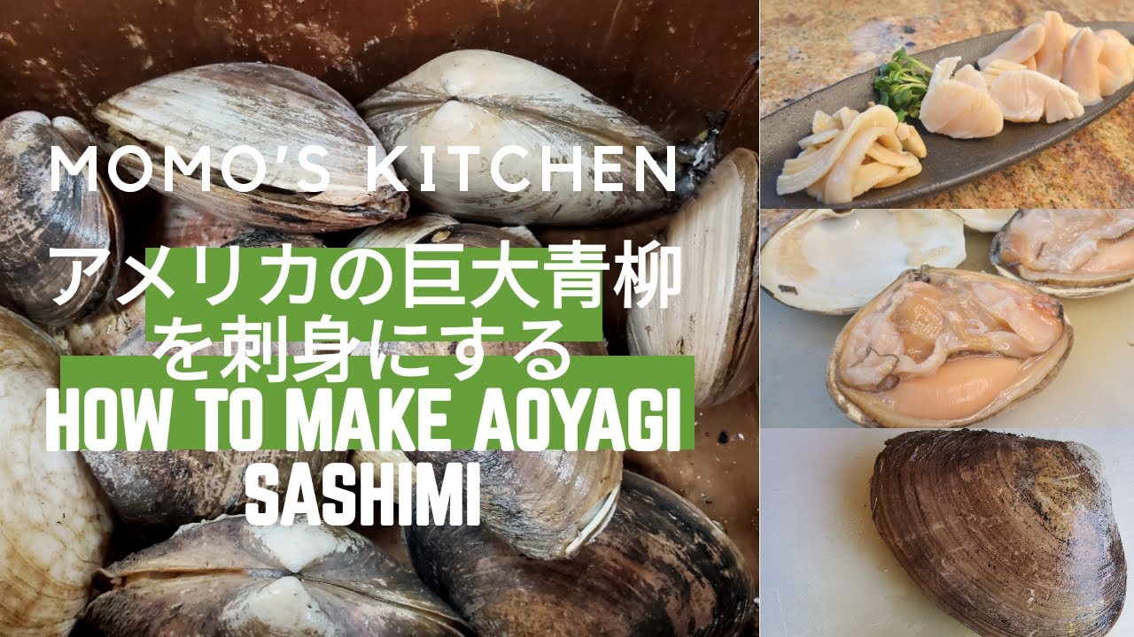 How to make yellow clam sashimi / アメリカの巨大アオヤギのさばき方 - YouTube