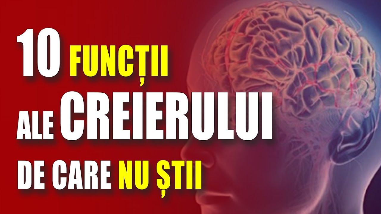 10 FUNCTII ALE CREIERULUI UMAN DE CARE NU STII CA-TI MODIFICA ...