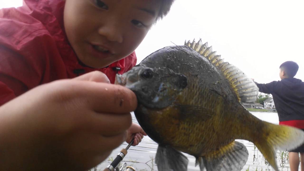 Jumbo fishing - YouTube