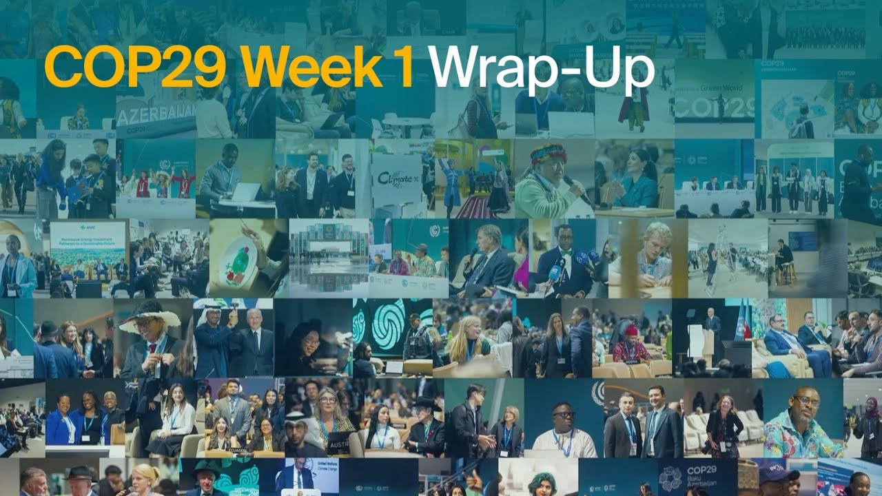 COP29 Week 1 Wrap-Up - YouTube