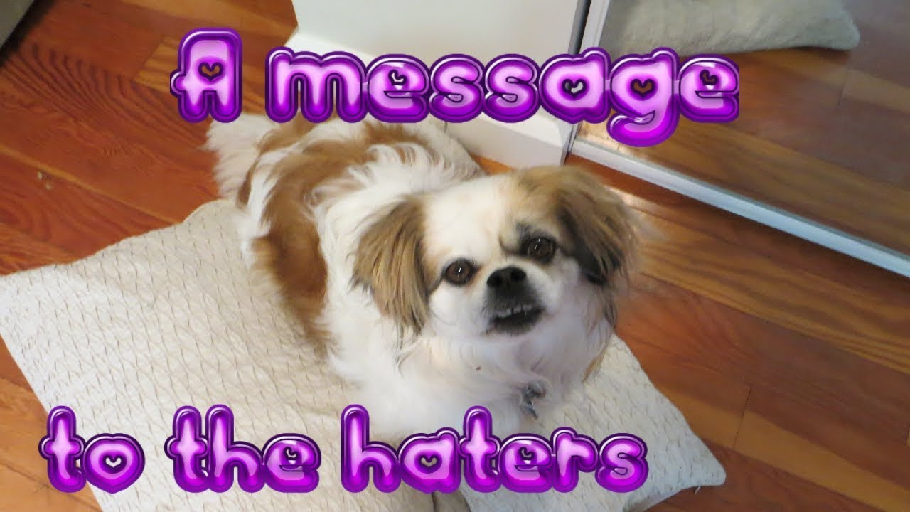 A message to the haters - YouTube