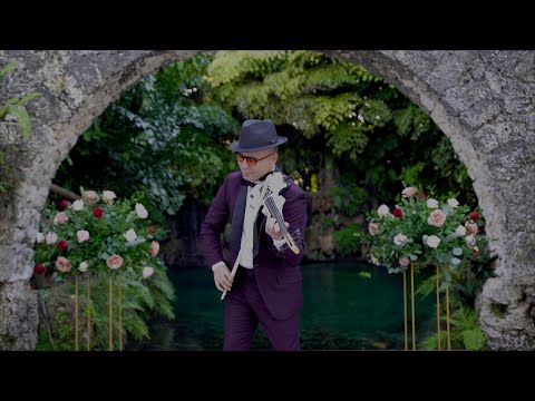 Halo – Violin Cover | Romantic Wedding Version by Frank Lima Violinist