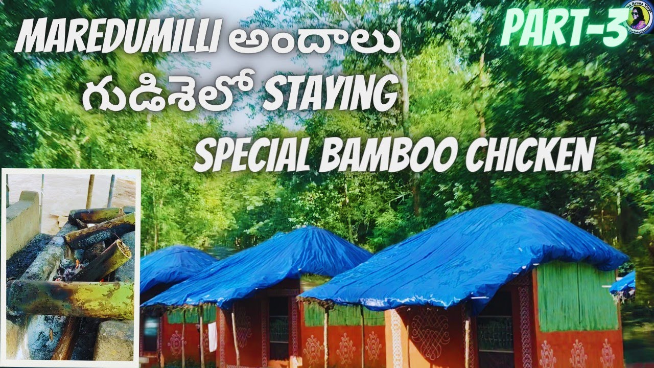 Maredumilli అందాలు|గుడిశెలో staying|Special bamboo chicken|Telugu vlogs ...