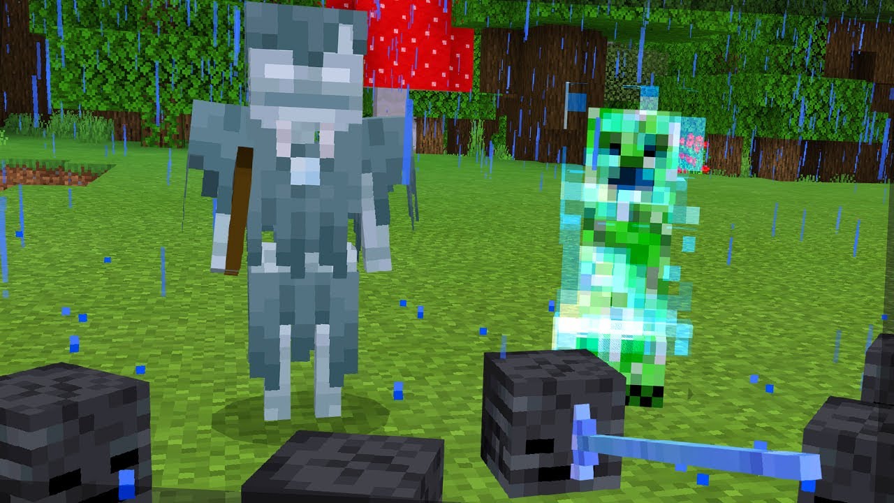 Stray Wither Skull Bug Patched in Minecraft 1.17 - YouTube