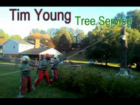 Tim Young Tree Service - Charlotte NC - YouTube