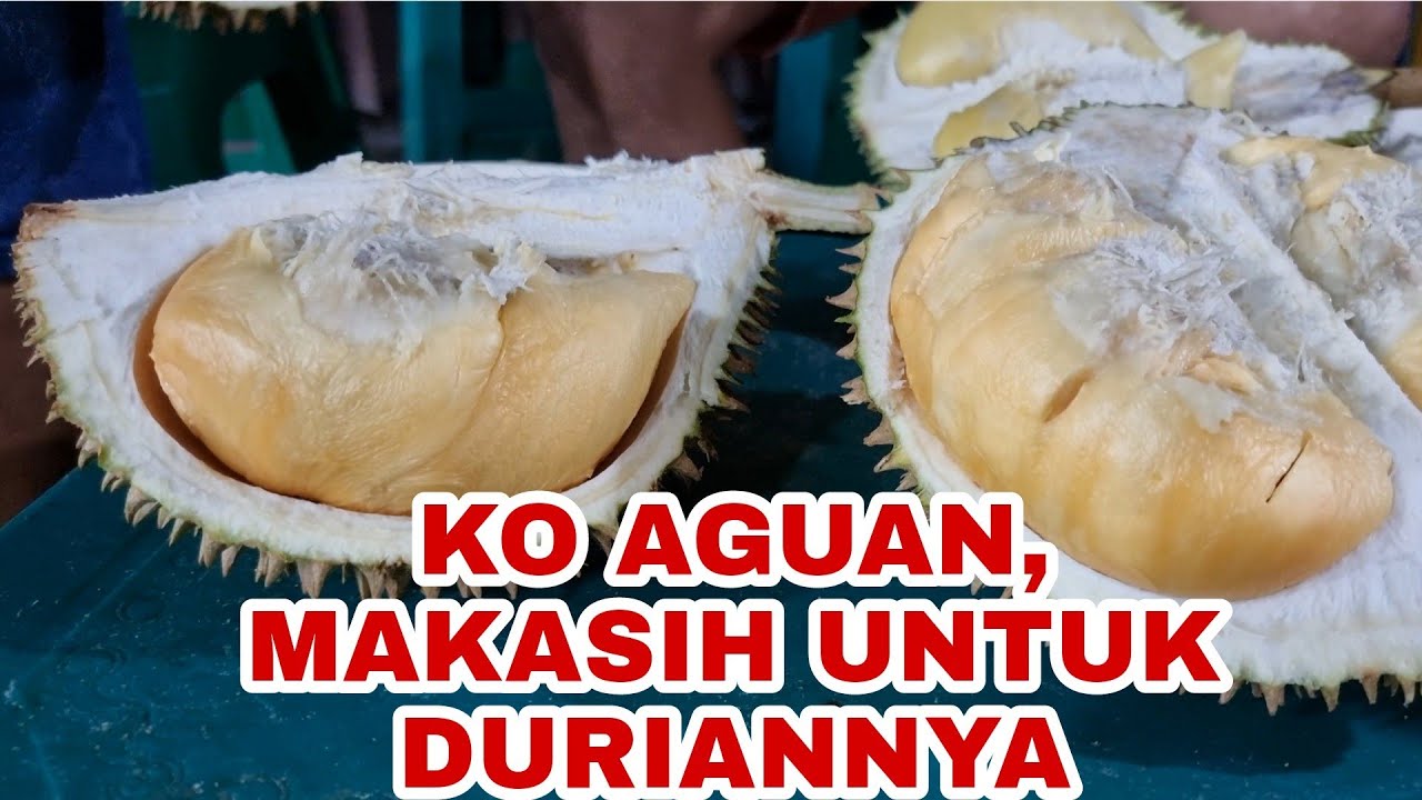 TERIMA KASIH KO AGUAN, DURIAN ST BANGKA DAN CUMASINYA - YouTube