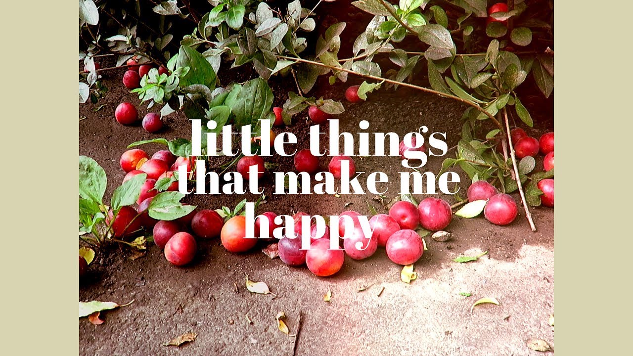 Little Things That Make Me Happy - YouTube