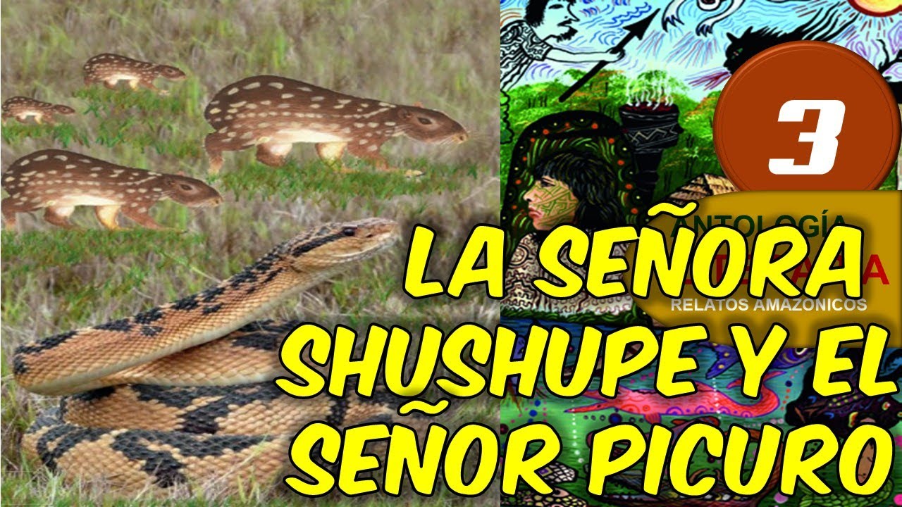 LA SEÑORA SHUSHUPE Y EL SEÑOR PICURO | Relatos Amazónicos -Antología ...