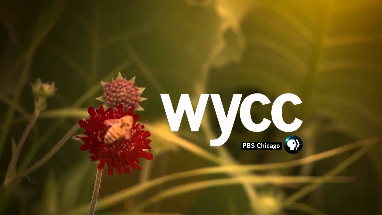 WYCC PBS CHICAGO - YouTube