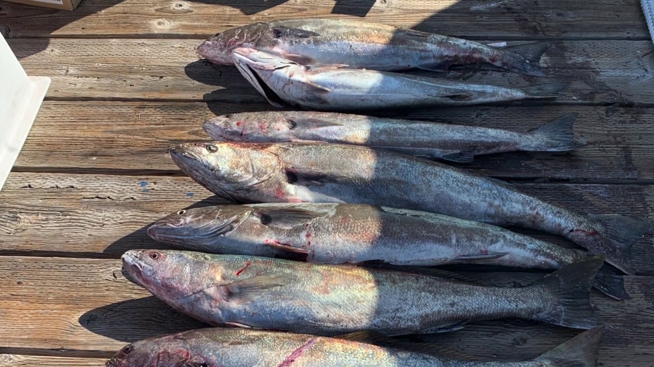 San Nicolas Island July 2020 - YouTube