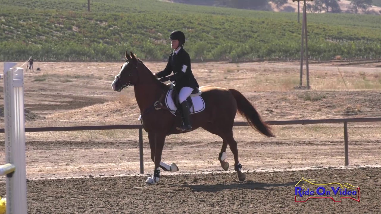 180S Benjamin Heckman on Rouge Et Blanc DF JR Novice Show Jumping Twin ...