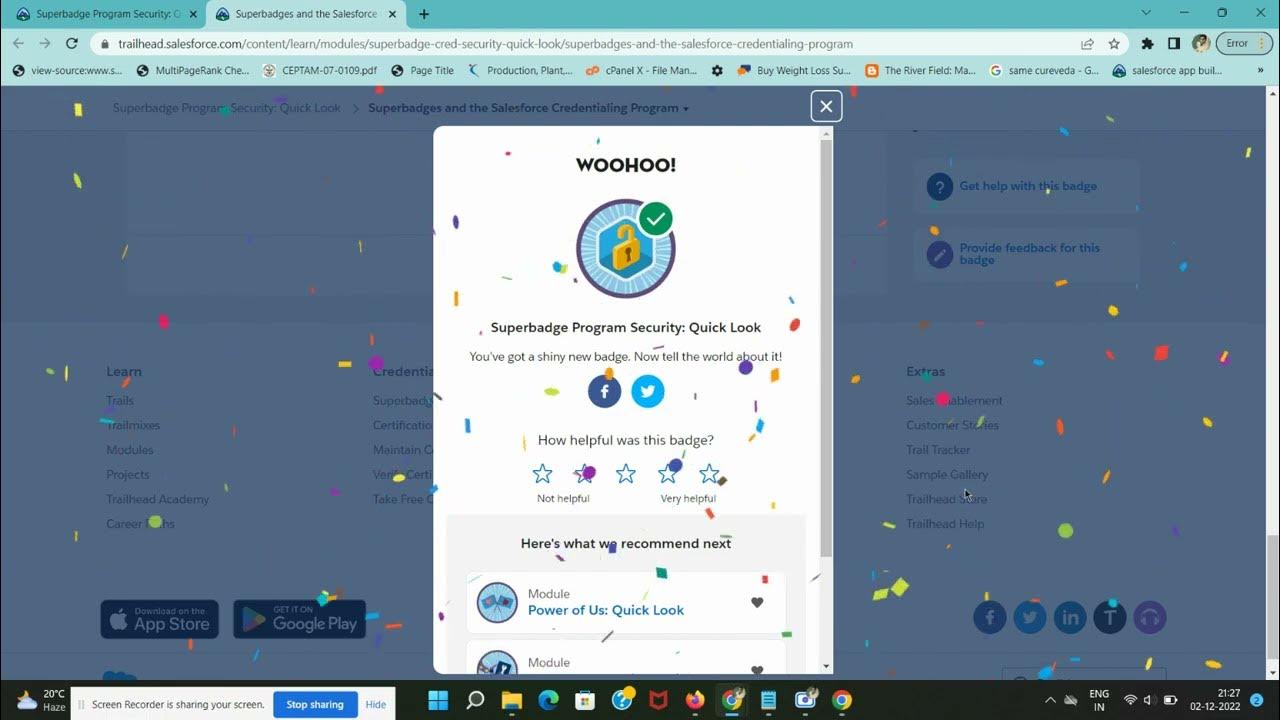 Superbadges And The Salesforce Credentialing Program Superbadge Program Security Quick Look