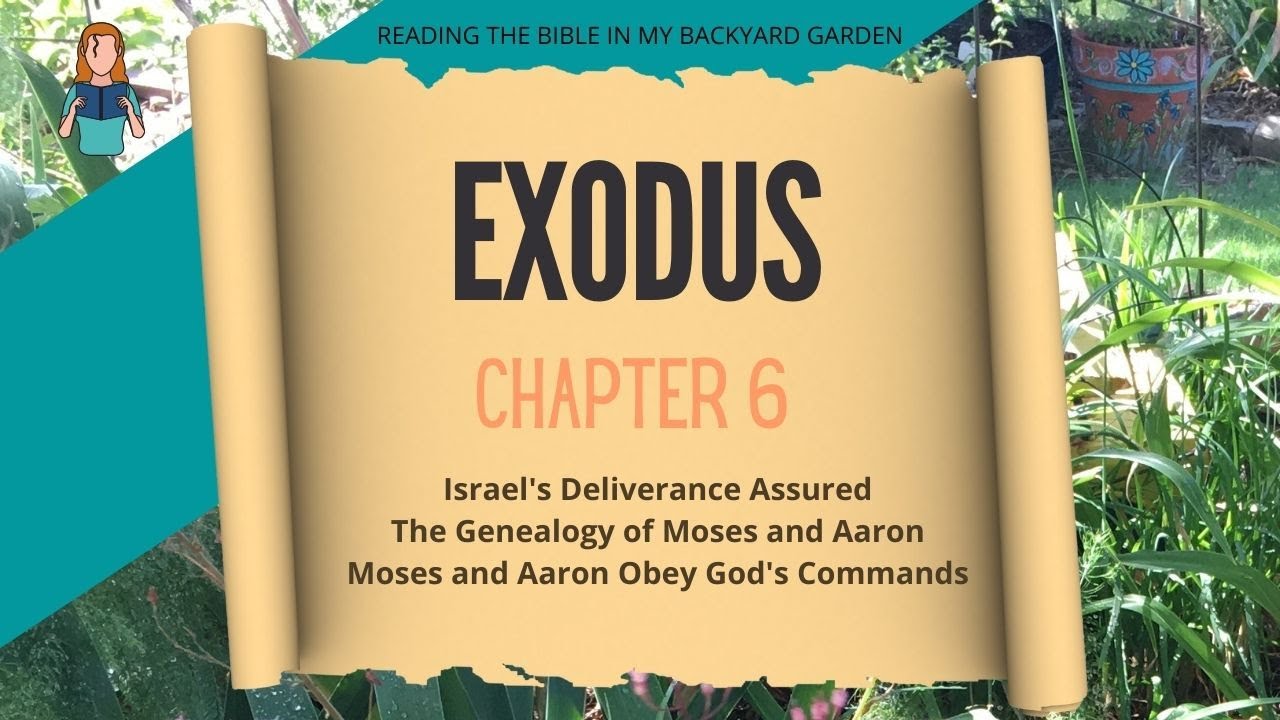 Exodus Chapter 6 | NRSV Bible Reading - YouTube