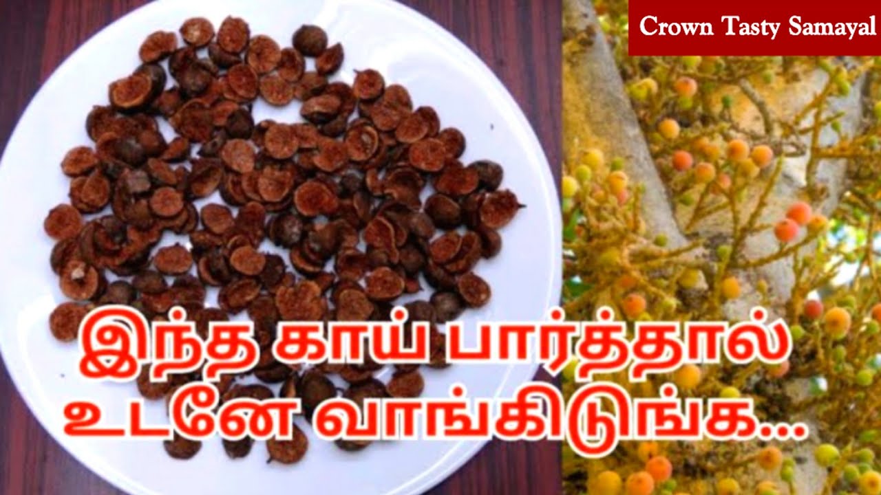 Fig Vattral Recipe | Vathal Recipe in Tamil | இந்த காய் கிடைத்தால் மிஸ் ...