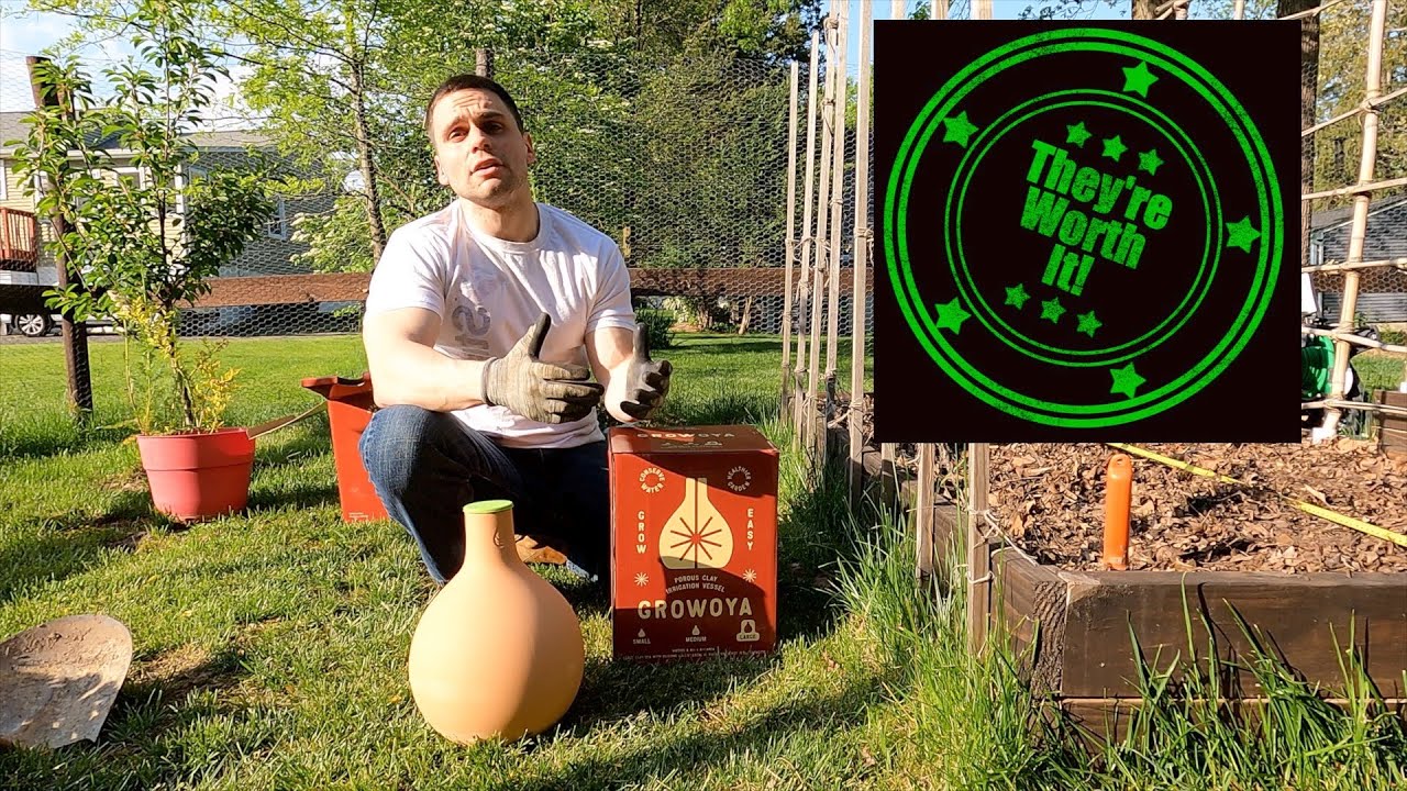 GrowOya Oya product review and installation guide - YouTube