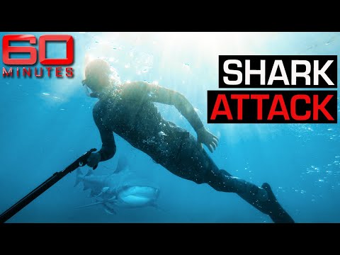 Young man attacked by a shark three times loses his leg | 60 Minutes Australia